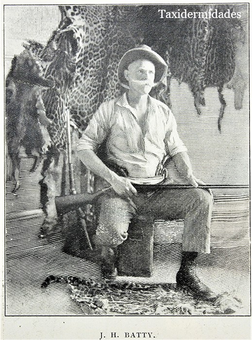 Joseph H. Batty. "Practical Taxidermy and Home Decoration ...