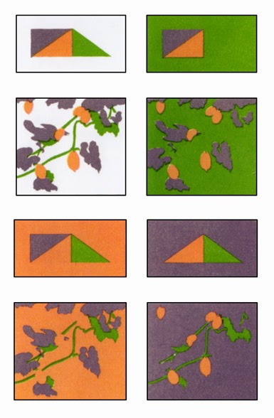 C A M O U P E D I A: Learning from Abbott H. Thayer