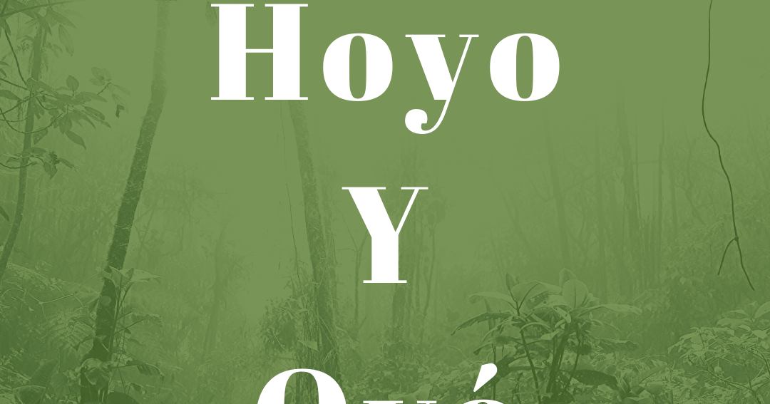 Blog de la Lengua : HOYO Y OYÓ.