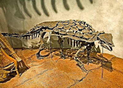 Prehistoric Beast of the Week: Gargoyleosaurus: Beast of the Week