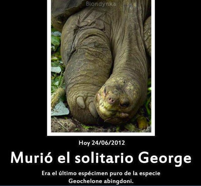 Departamento de Biología IES Laguna de Tollón: Muere el solitario George