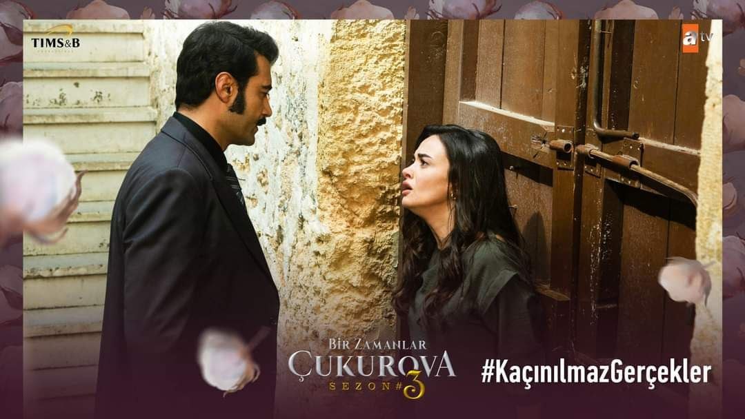 Seriale Online Romania