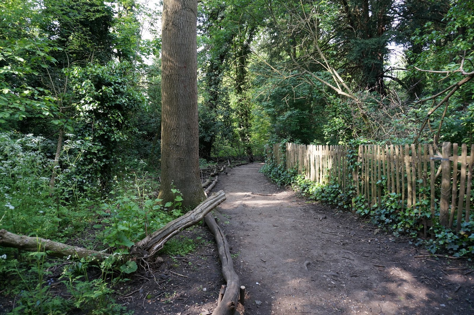 Angus Walk: South London Green Chain | EVE LOVES THINGS