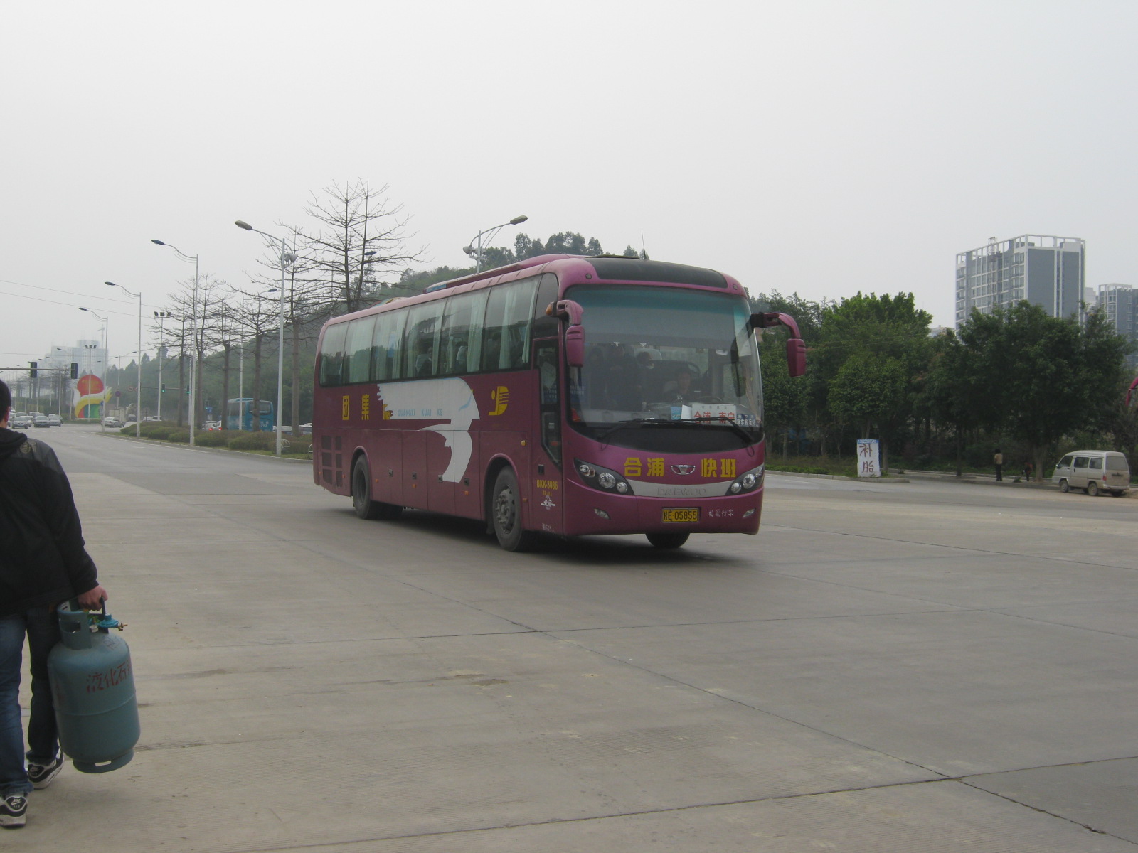 Buses: Daewoo Buses