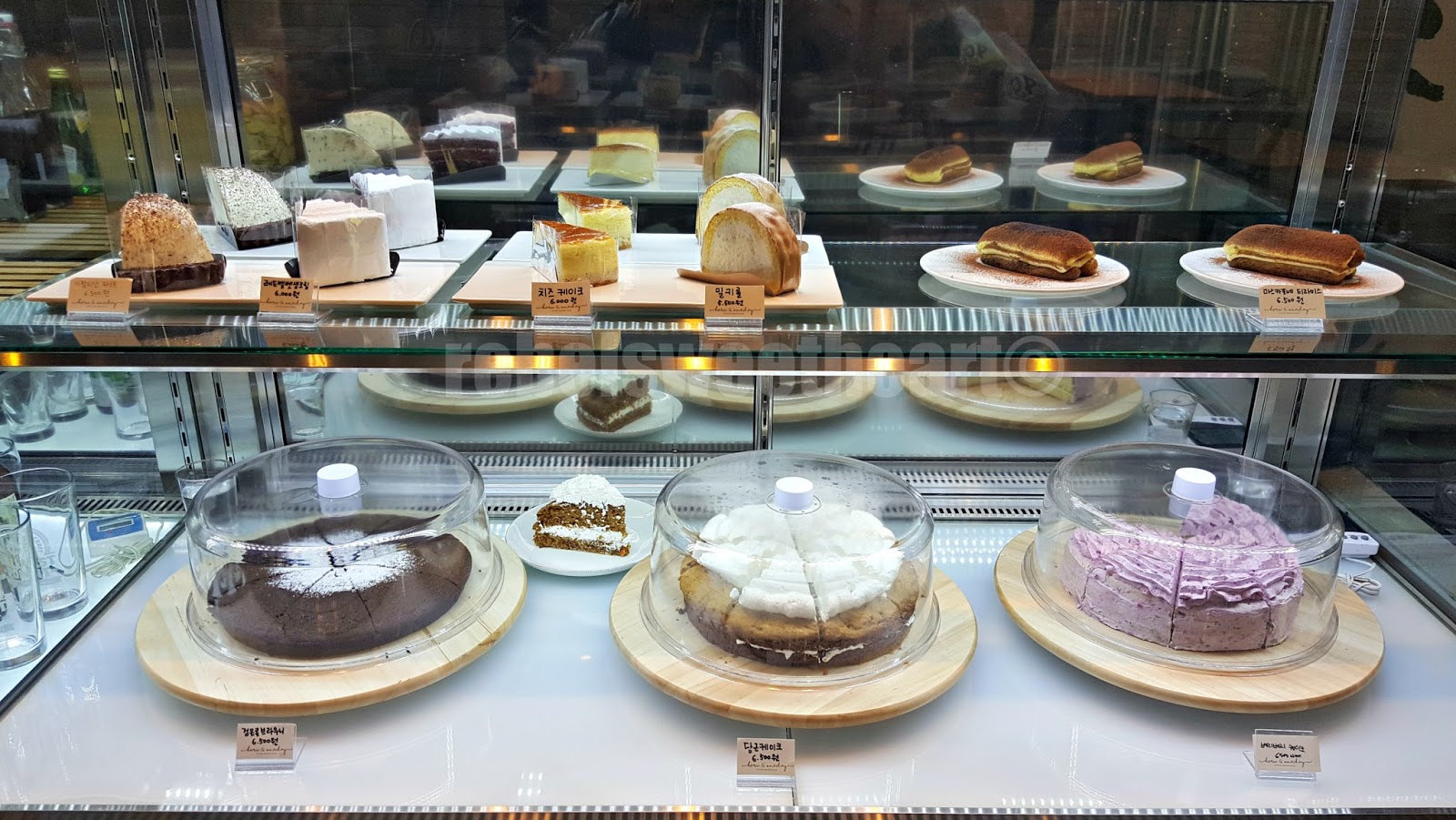 The Rebel Sweetheart.: Seoul Searching | Haru & One Day.