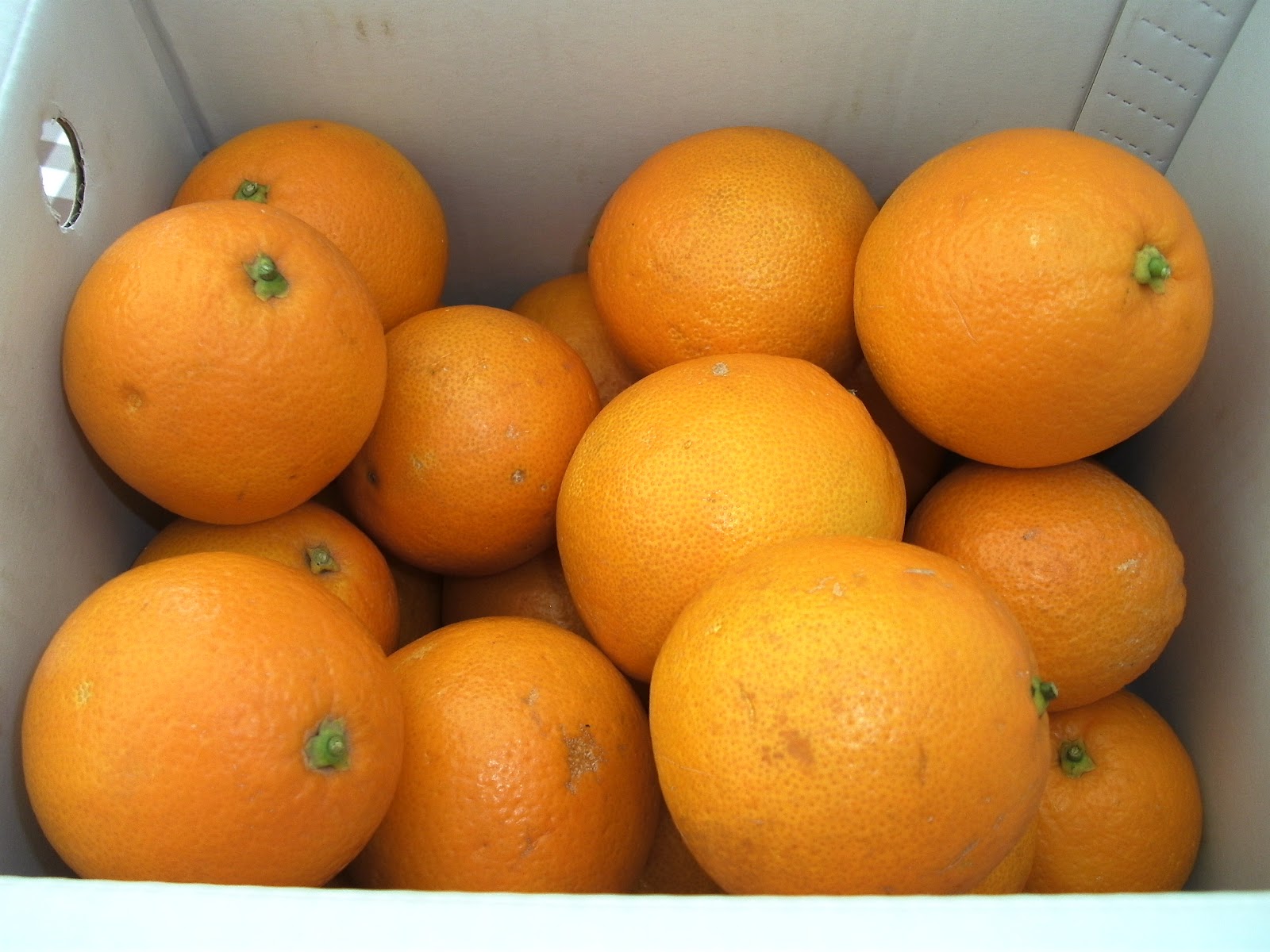 Cocina y más cosas: NARANJAS DE ESNARANJAS.COM