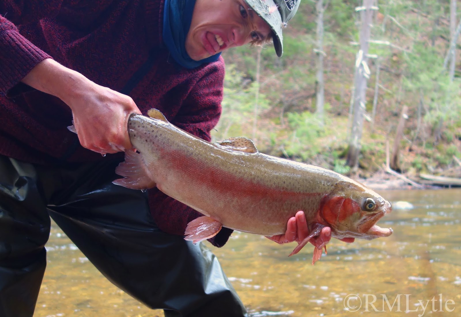 Connecticut Fly Angler: Some Entirely Synthetic Fish