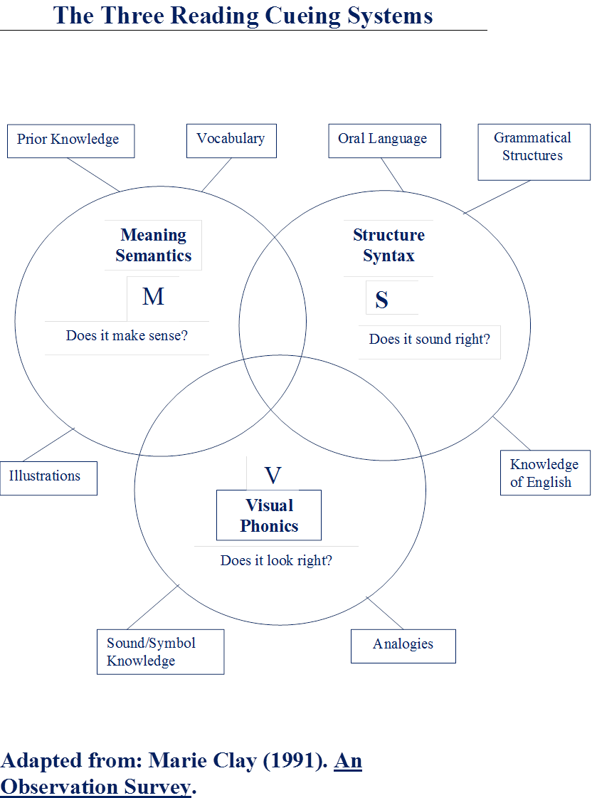 Reading Royalty: Analyzing Running Records - MSV Made Easy with a Freebie!