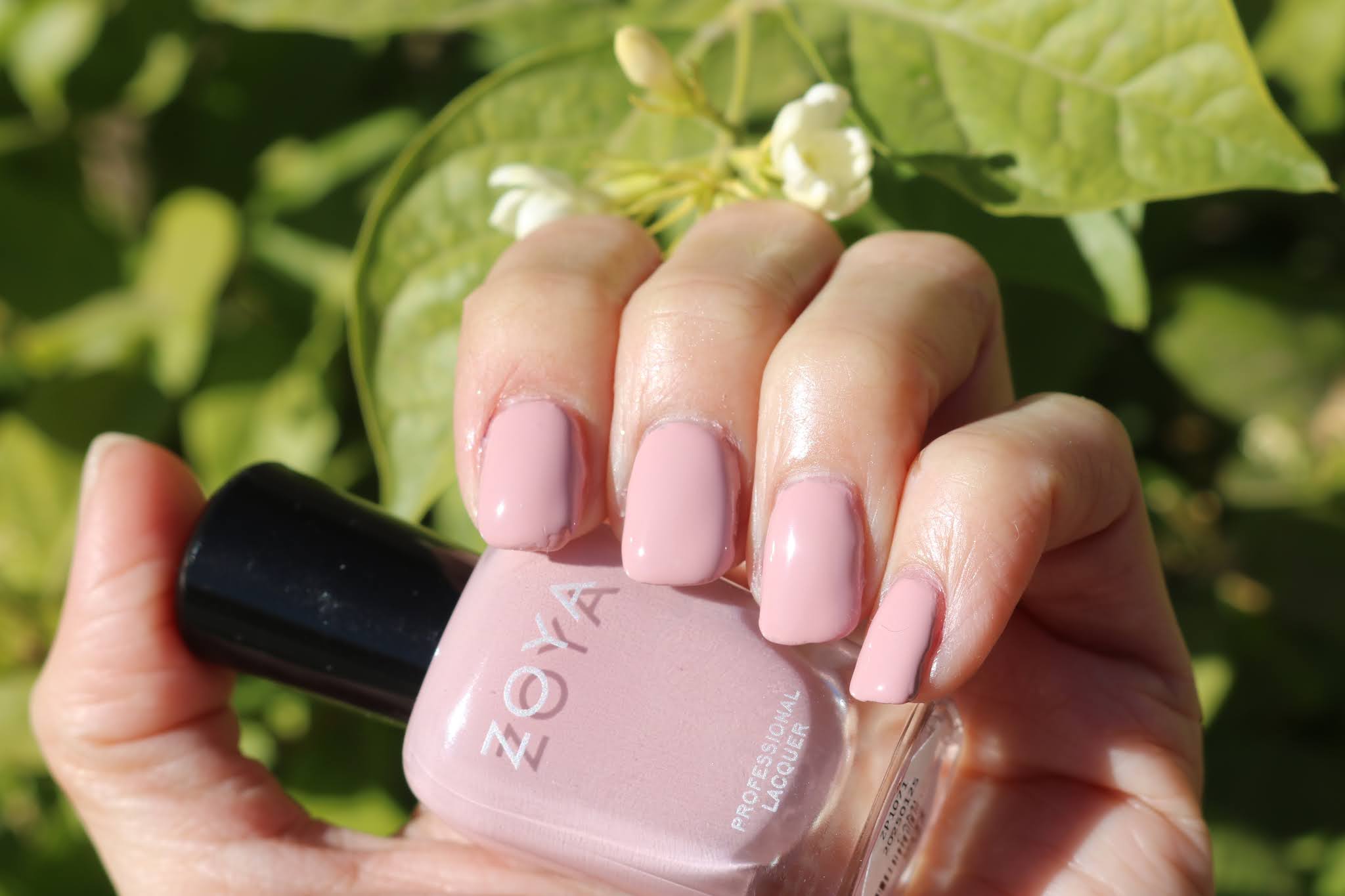 Zoya Naturel 4: Transitional 2020 Collection Swatches and Review - The Shades Of U