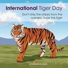 Forest: International Tiger Day - July 29