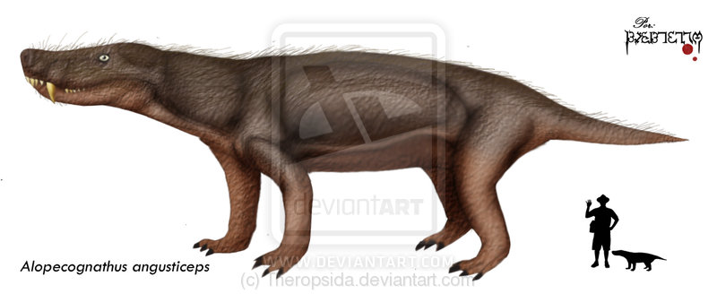 Los animales en la prehistoria: Animales prehistóricos con la letra A