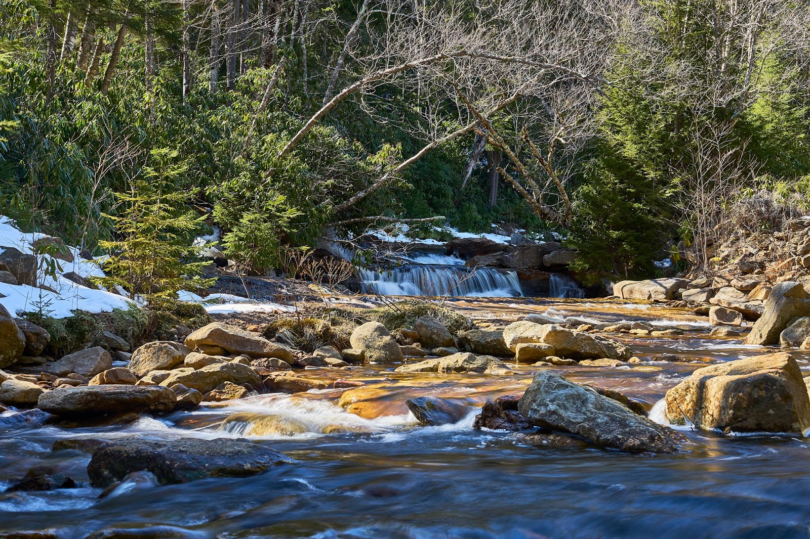 Dolly Sods spring | Backcountry Post