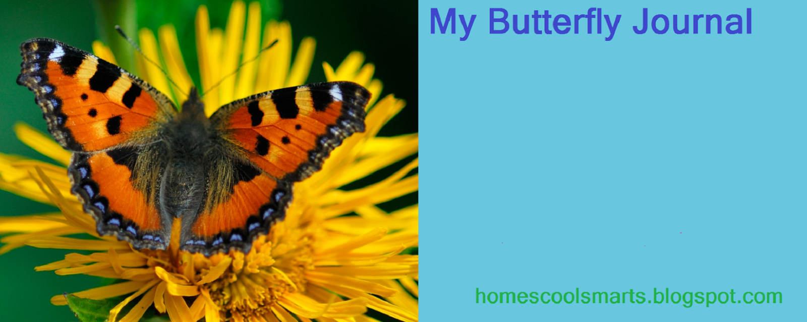 Homeschool Smarts: Entry to My Butterfly Journal