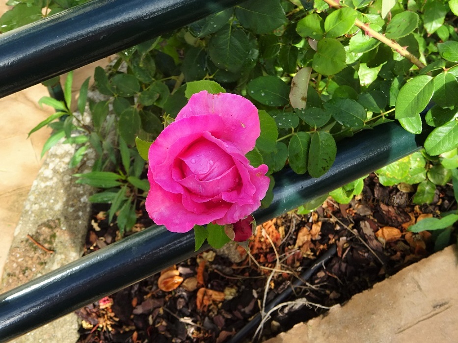 Así me gusta el mundo: LOS COLORES DE OCTUBRE.