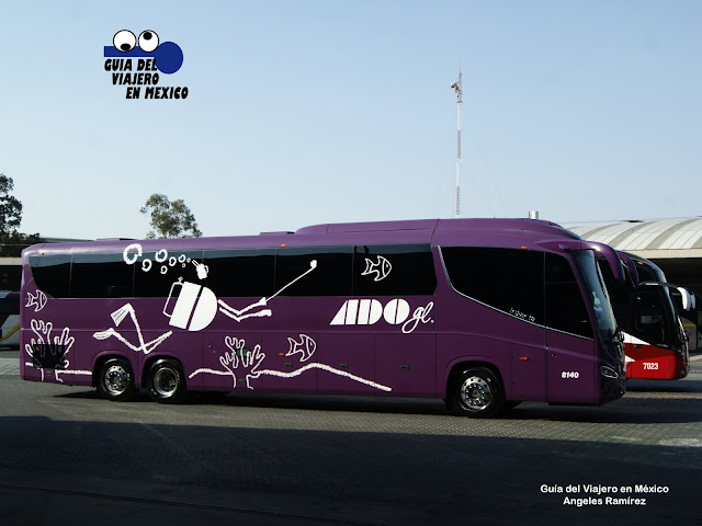 Las líneas que forman Movility ADO