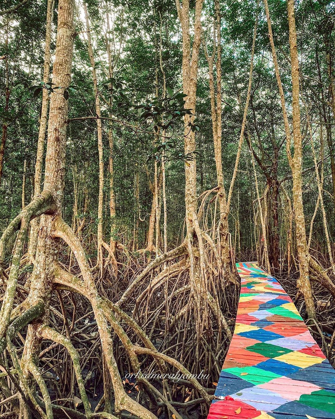 Pitas Bay View Sabah Malaysian Borneo (36 Photos)