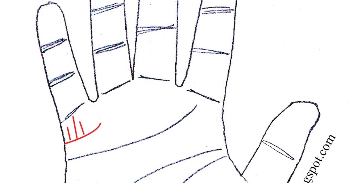 Children Lines (Santan Rekha) Places On Hand In Indian Palmistry ...