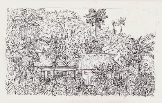 Botanical Art - Holiday Sketching: Fiji Holiday Sketching