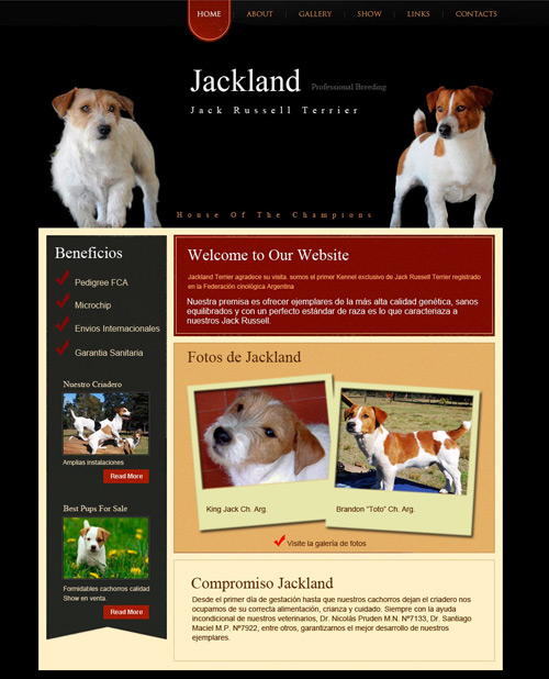 Desingdog: Portfolio