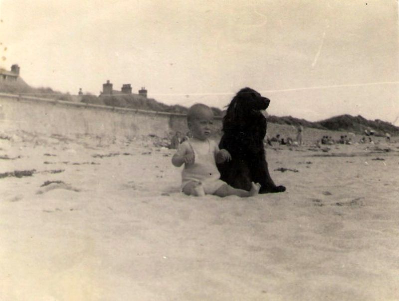 40 Adorable Vintage Pictures That Capture Lovely Moments of Animals ...