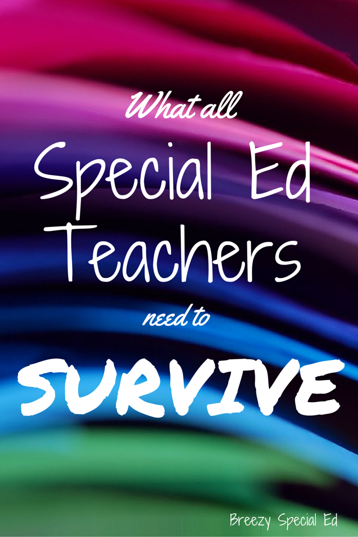 13 Things Every Special Education Teacher Needs in their Classroom ...
