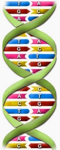 Soda hassan: inlämnings uppgift