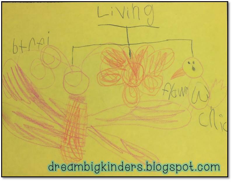 Dream Big Kinders: Living vs. Nonliving