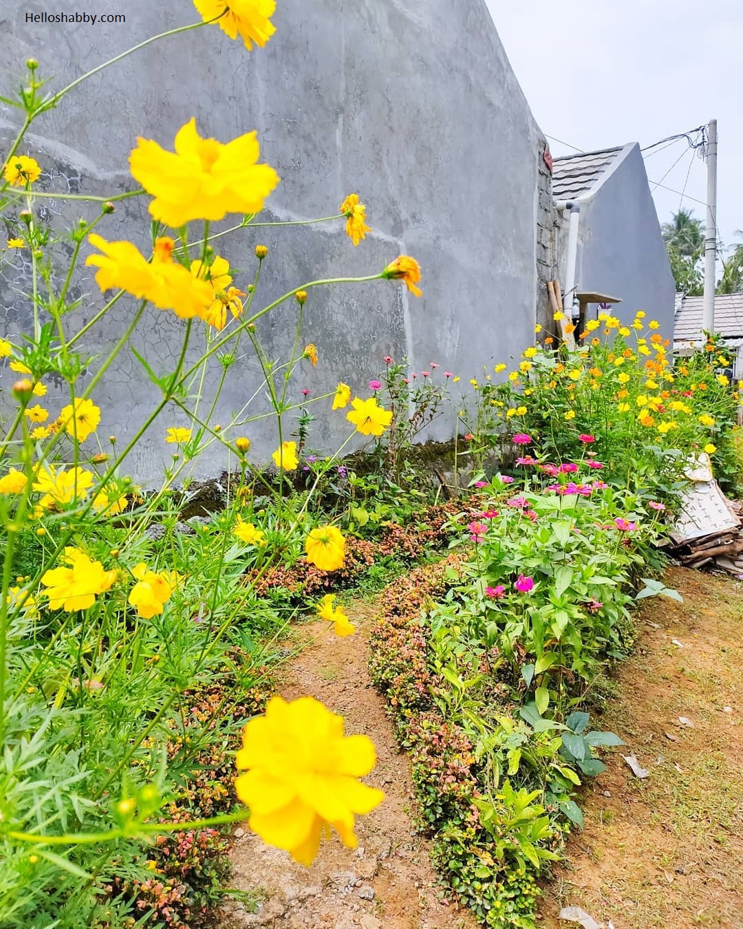 7 Desain Taman Samping Rumah yang Indah dan Menarik ~ HelloShabby.com ...