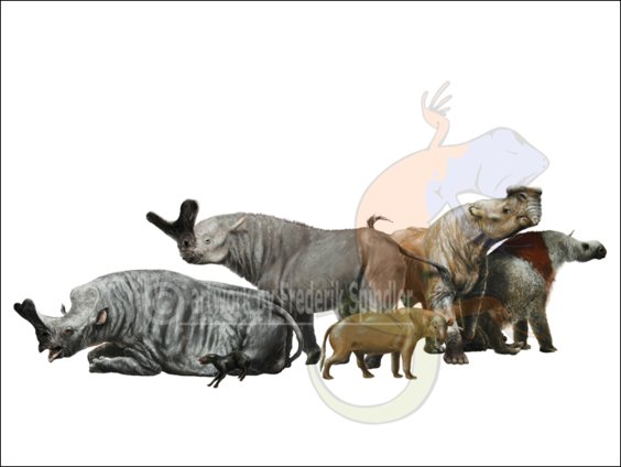 Domain of the C-Rex: It's a Deer! It's a Rhino! No, it's a Brontothere!