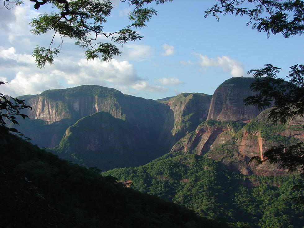 PARQUE NACIONAL AMBORÓ | Viajes y Turismo