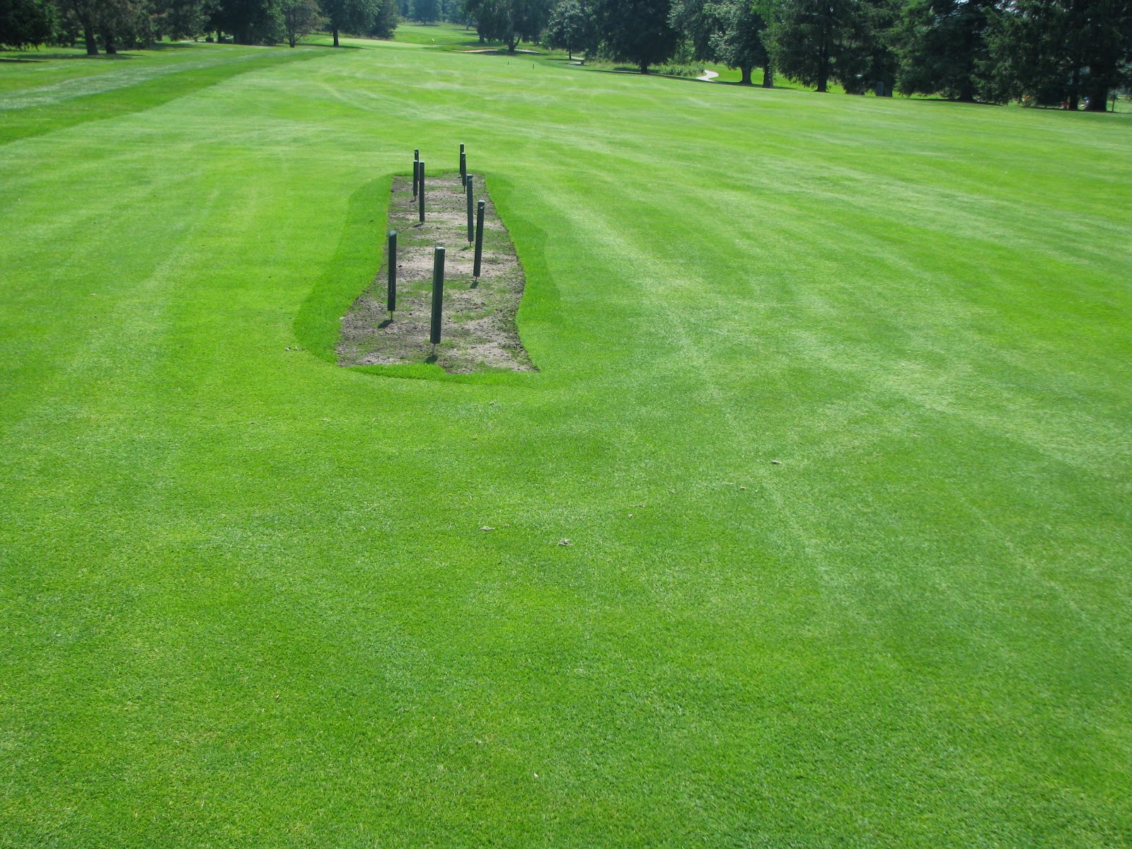Whitevale Golf Club: July 2014
