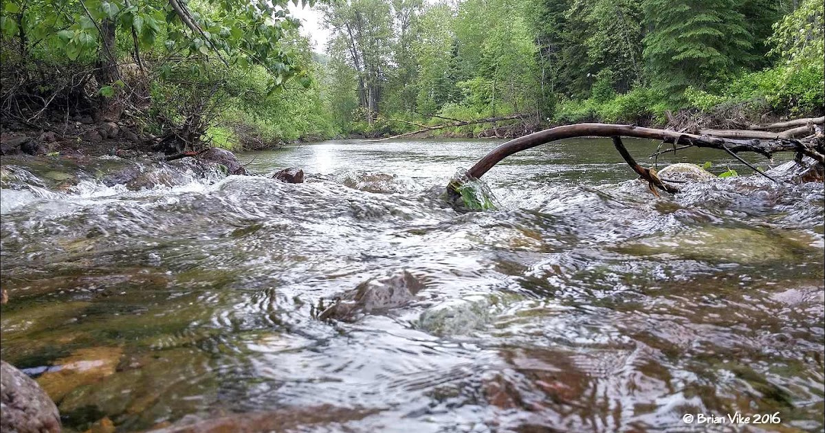 Northern Interior British Columbia: My Bulkley River 4 Houston British ...