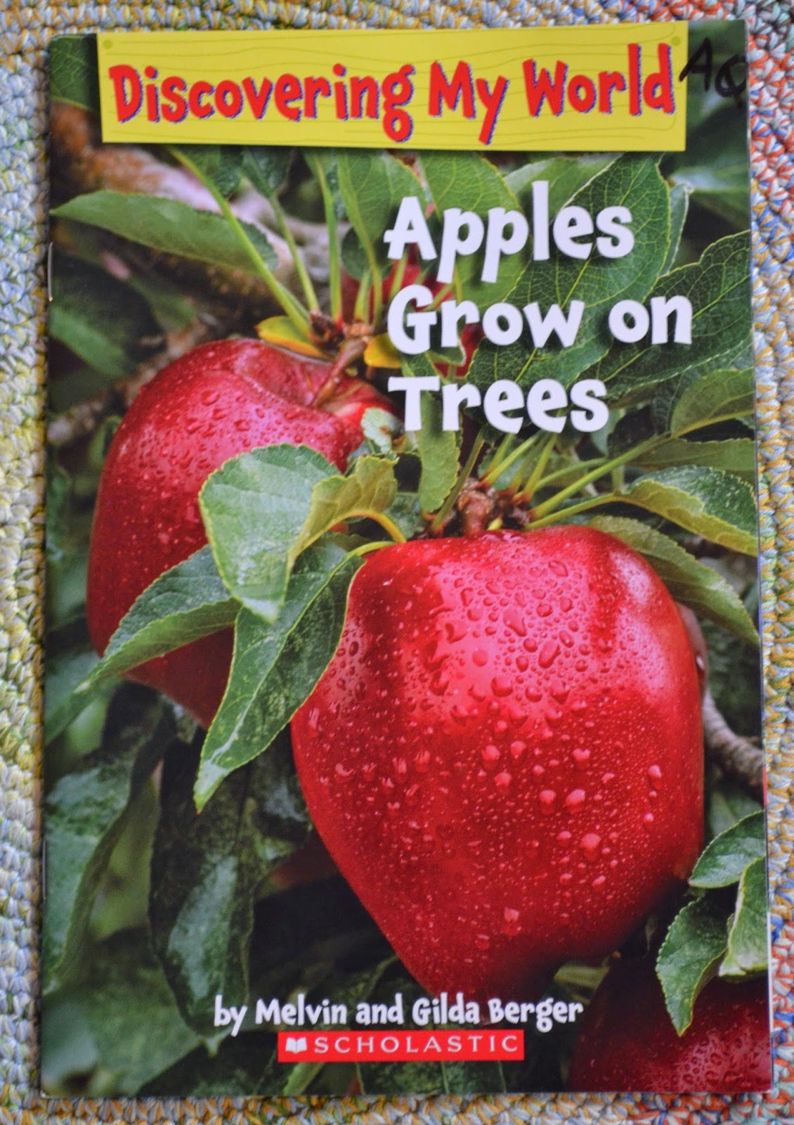 Book Blab - Blithering by a Book Lover: Apples ~ 10 Fun Activities to ...