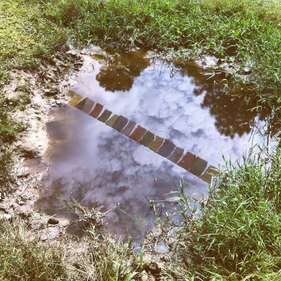 Reflection on reasons - RYI Student Blog