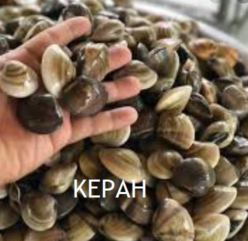 Anim Agro Technology: KEPAH - PELBAGAI KISAHNYA