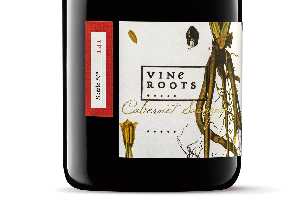 Vine Roots – The Memory of the Terroir – Packaging Of The World