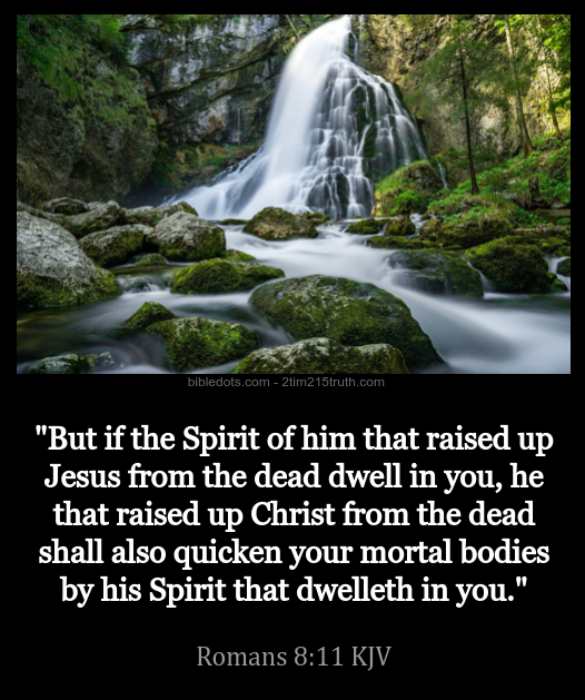 2 Timothy 2:15 Truth: Verse of the Day: Romans 8:11 KJV