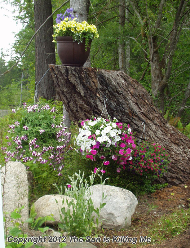 The Sun is Killing Me: Got Stumps?