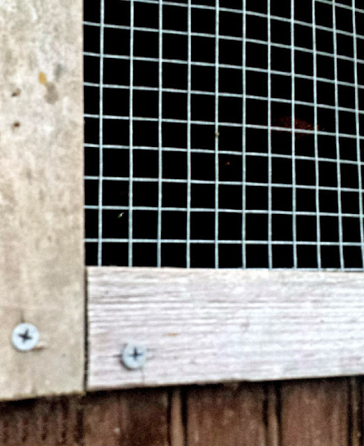 Chicken Coop + Run Predator Proofing - Fresh Eggs Daily®