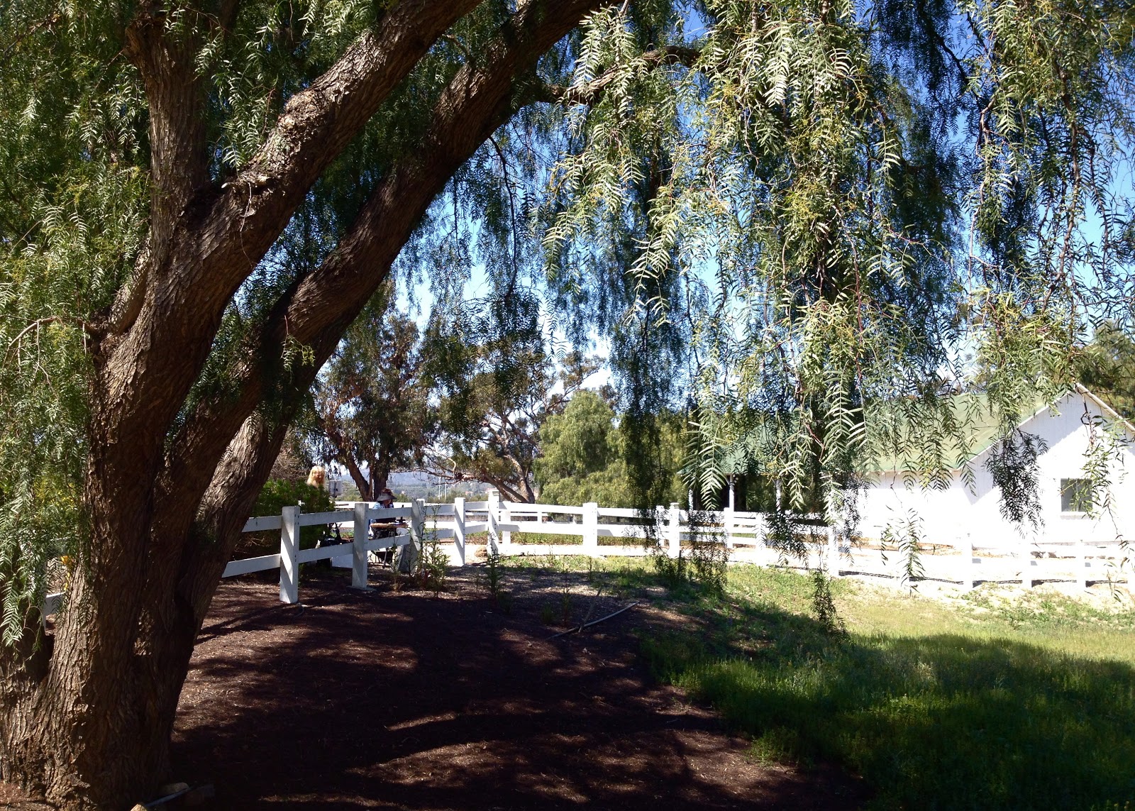 Pastel Society of the Gold Coast: Joel McCrea Ranch Pastel Paint Out!