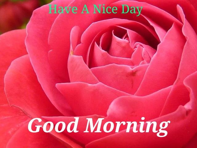 Top 10 Good Morning Ji Images greeting Pictures,Photos for Whatsapp ...