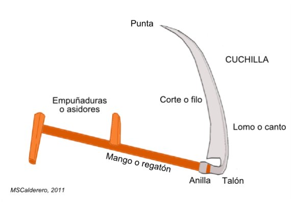 Tierra charra: mayo 2011