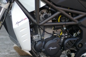 Modifikasi & Alam: Minerva Megelli 250 RE dan RV