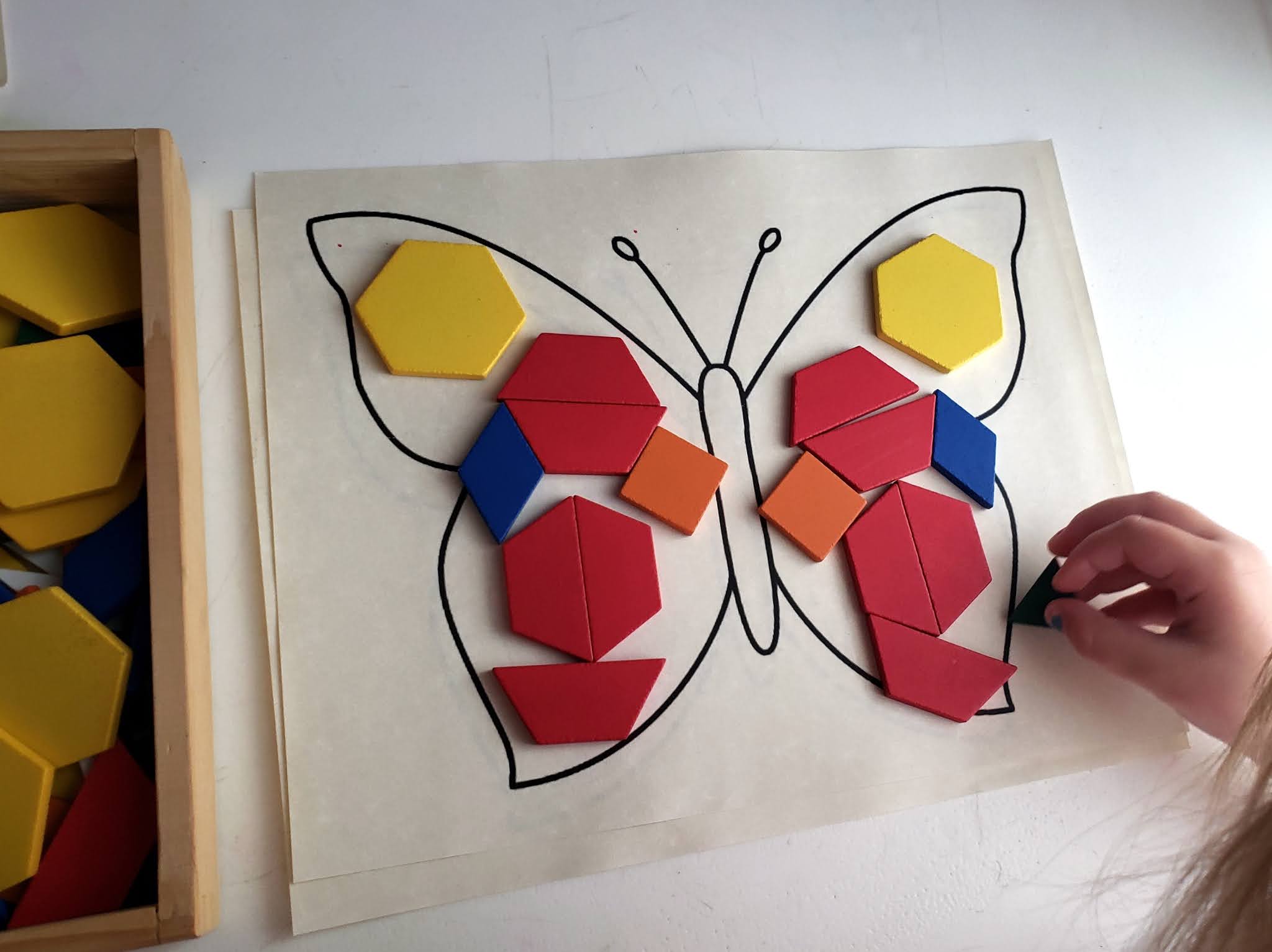 Mom's Tot School: Preschool: Caterpillars + Butterflies