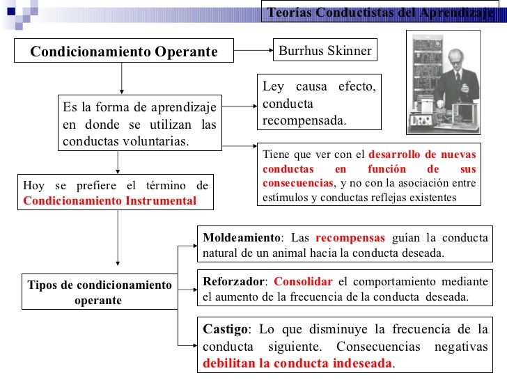 Skinner y el condicionamiento operante