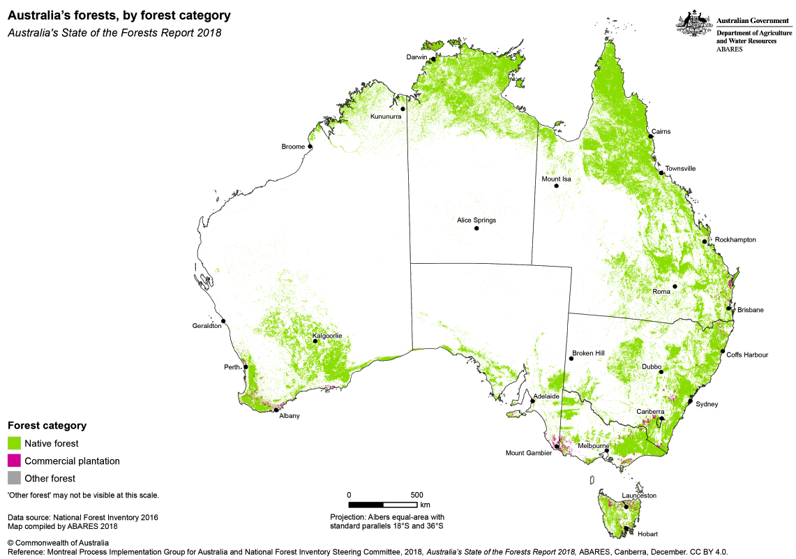 North Coast Voices: Australian Forestry Industry: these future eaters ...