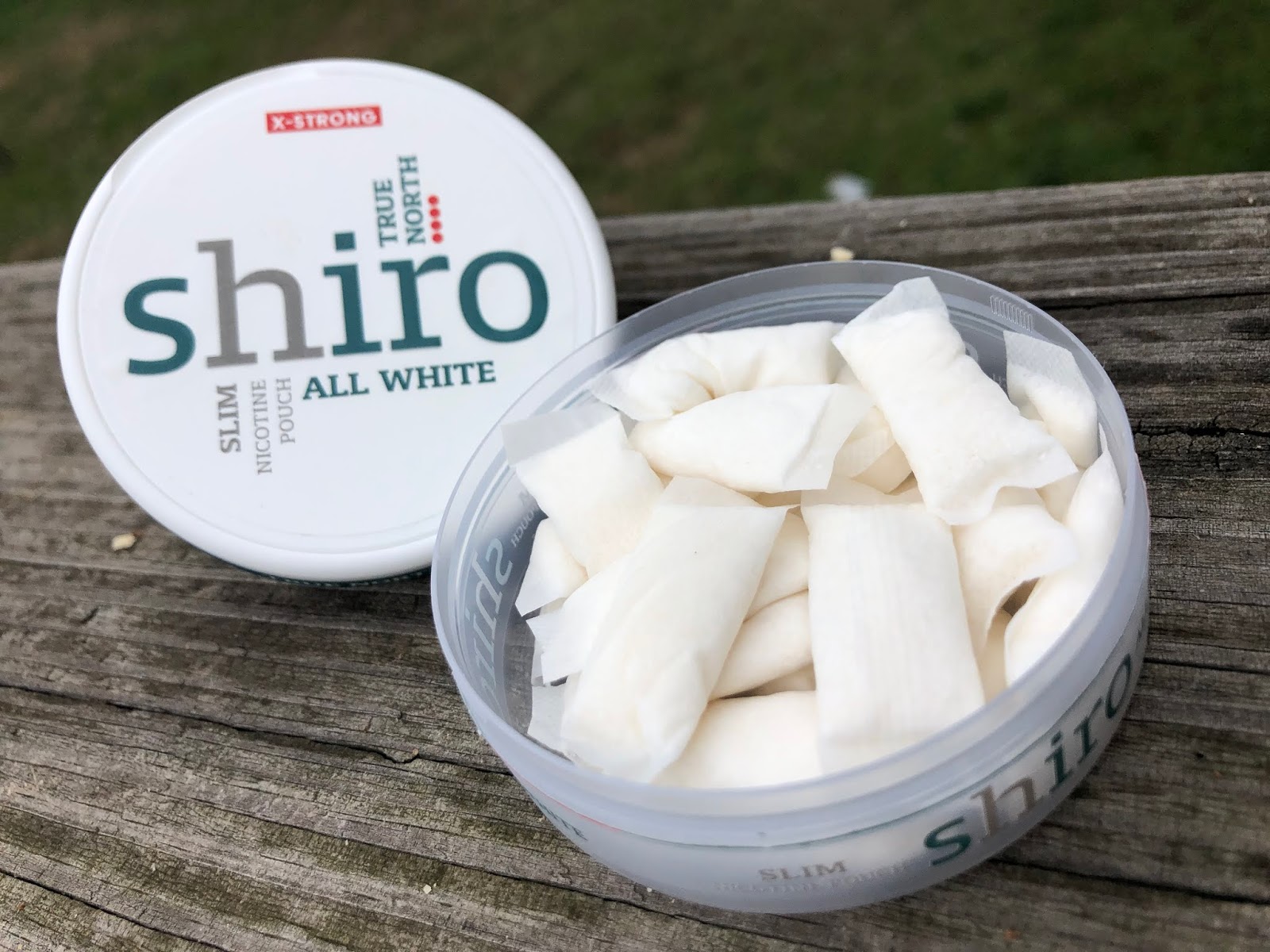 Shiro True North X-Strong (Nicotine Pouches) - Review (Discontinued ...