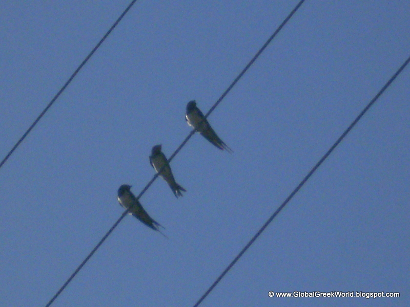 Global Greek World: Greece: 50+ Shades of Blue... Brilliant Hellenic Blue!