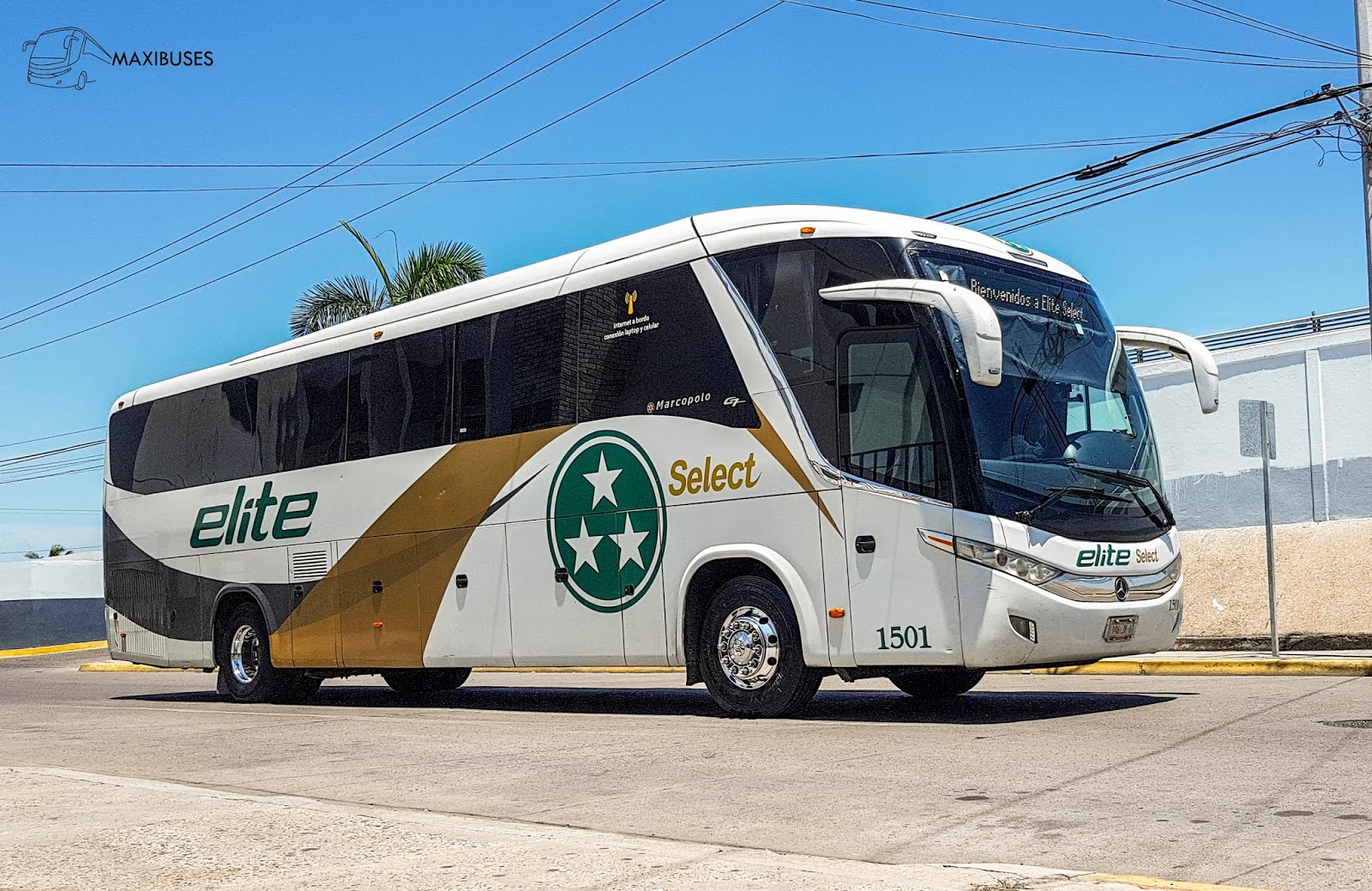 MAXIBUSES: ELITE SELECT