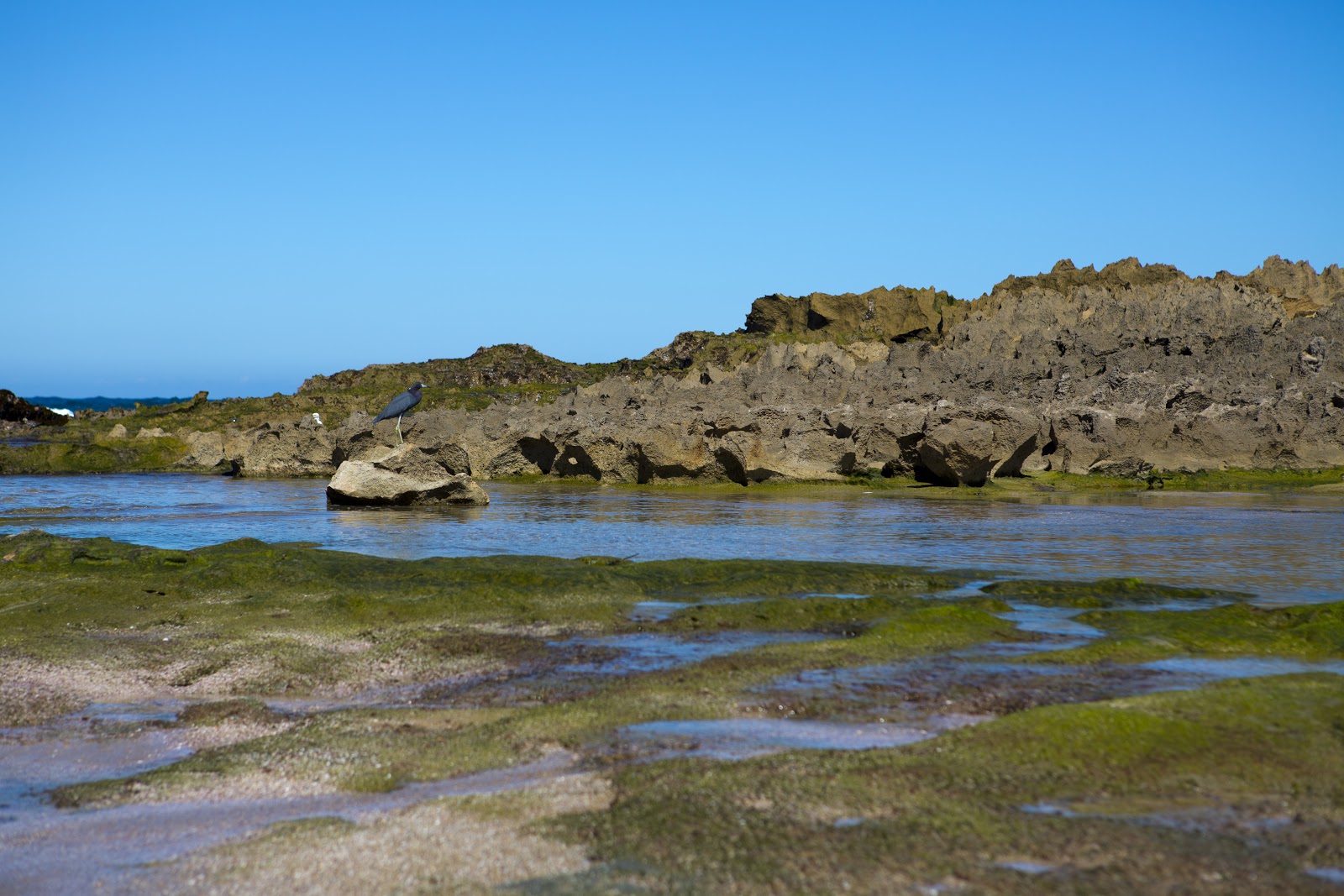 Under The Radar: Isabela, Puerto Rico